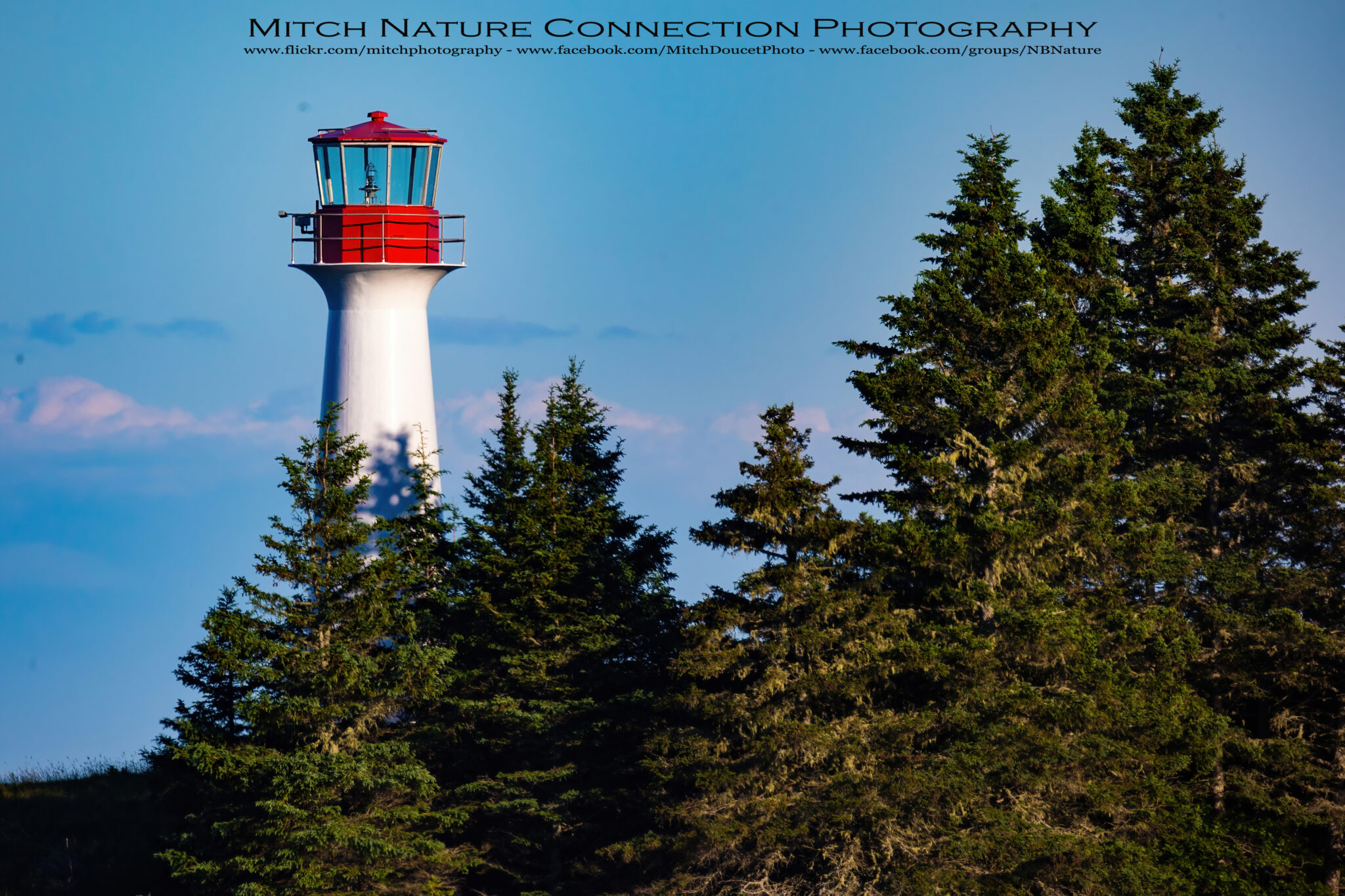 Lighthouse Point Lighthouse | Nature Connexion