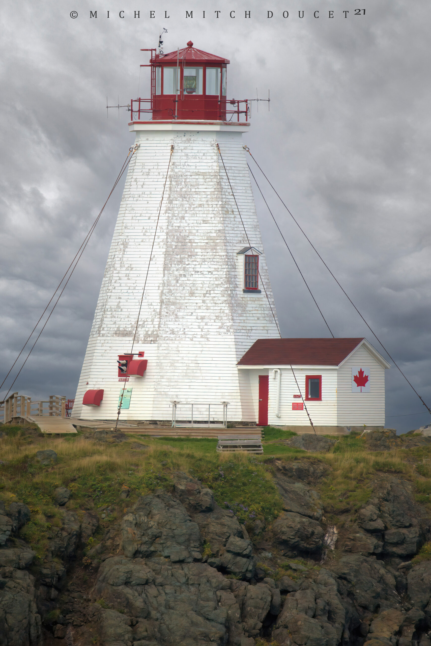 Lighthouse Swallowtail – Nature Connexion