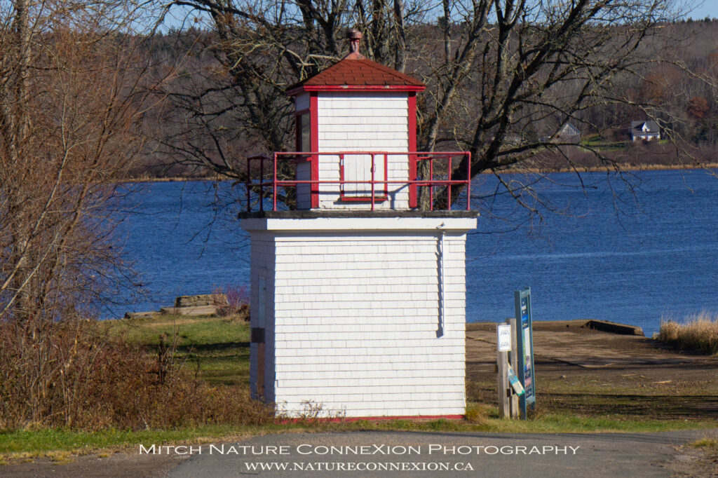 Lighthouse Hamstead Wharf | Nature Connexion