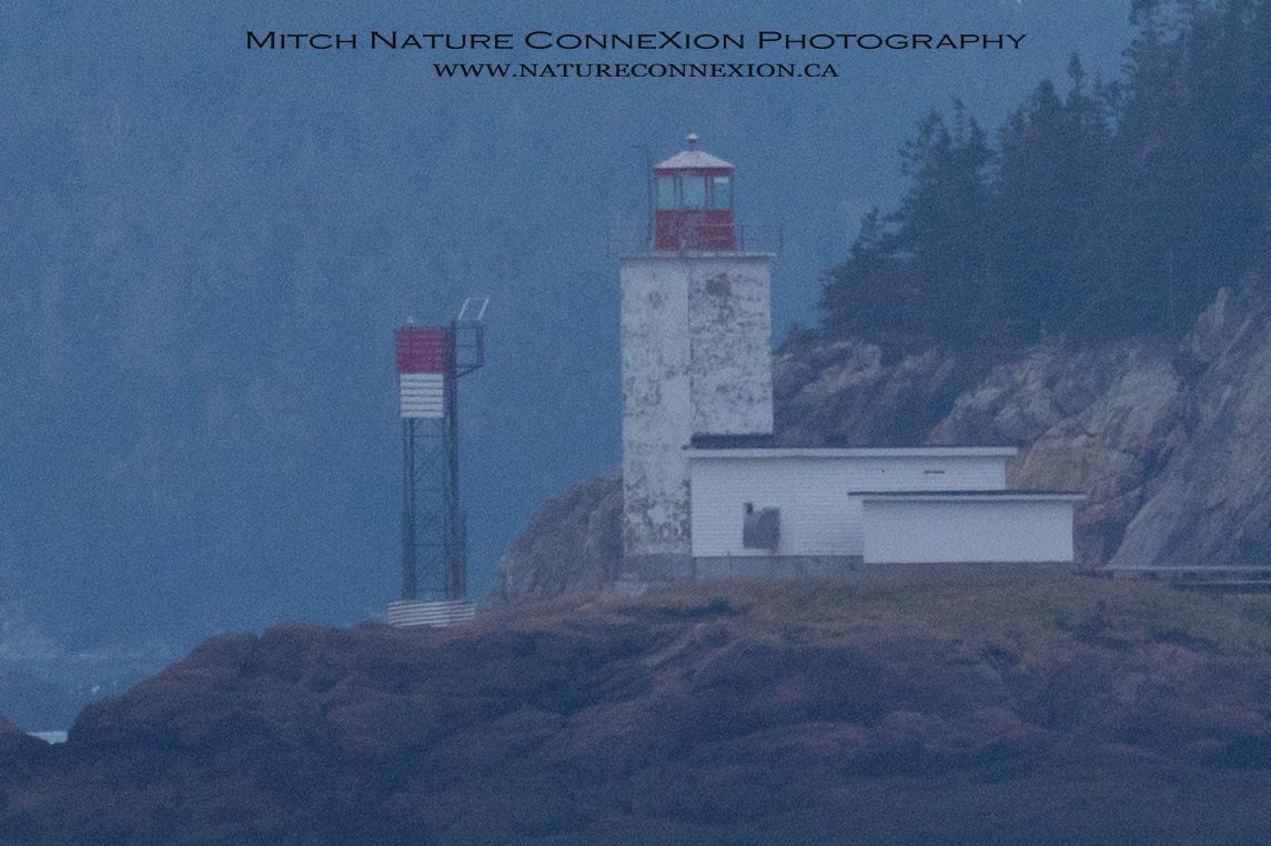 Lighthouse Bliss Island | Nature Connexion
