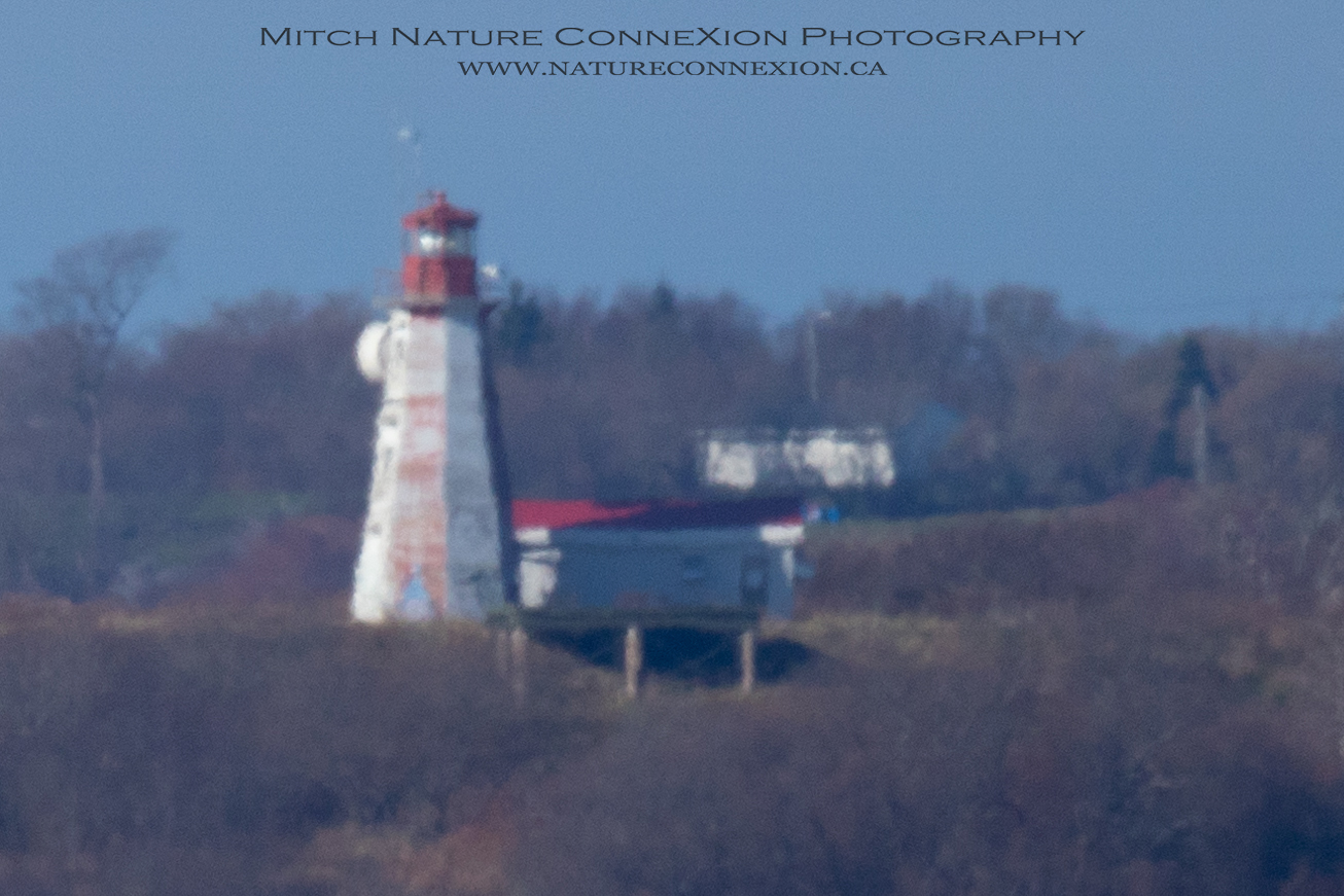 Lighthouse Partridge Island | Nature Connexion