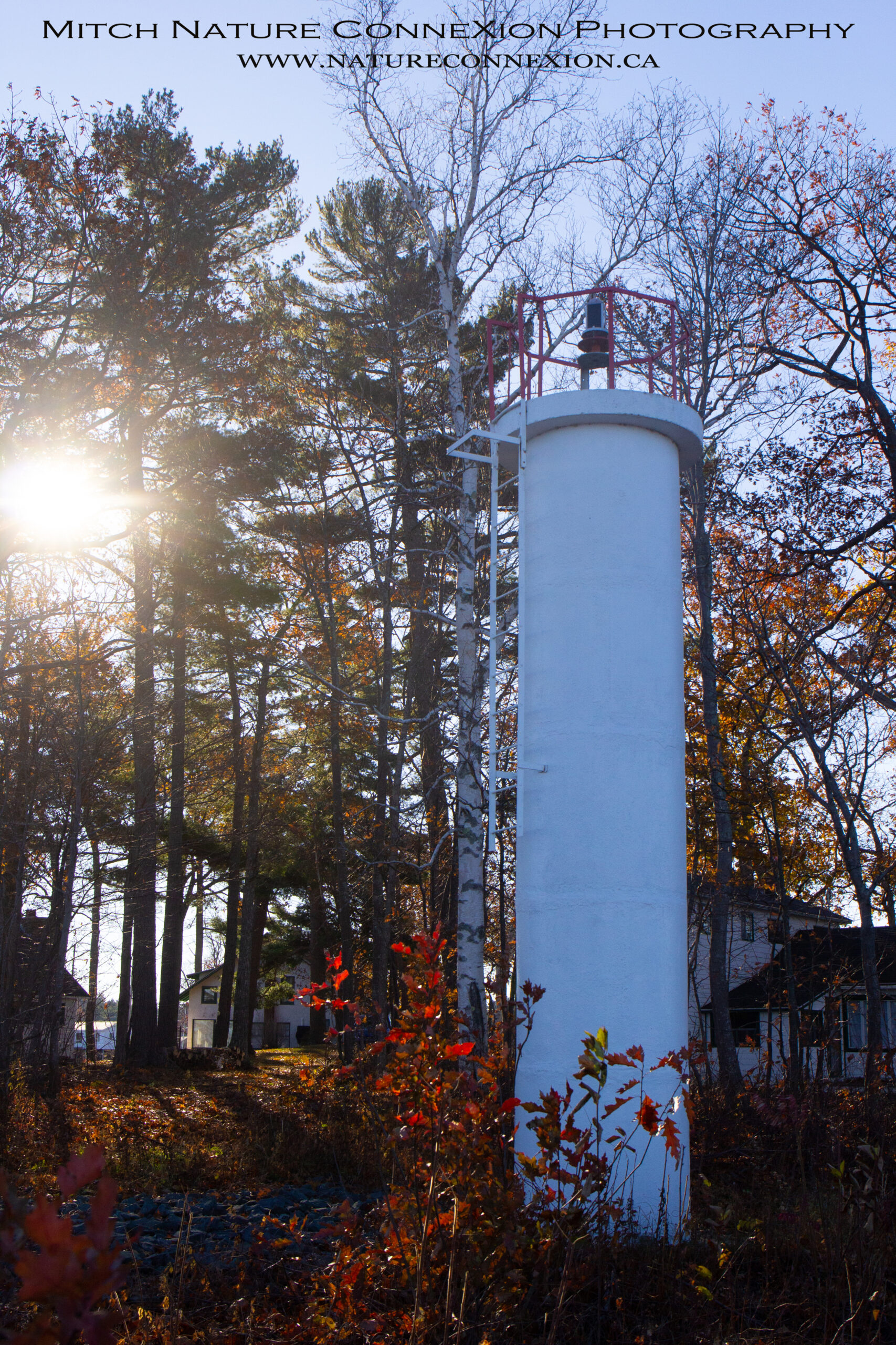 Lighthouse Robertson Point | Nature Connexion