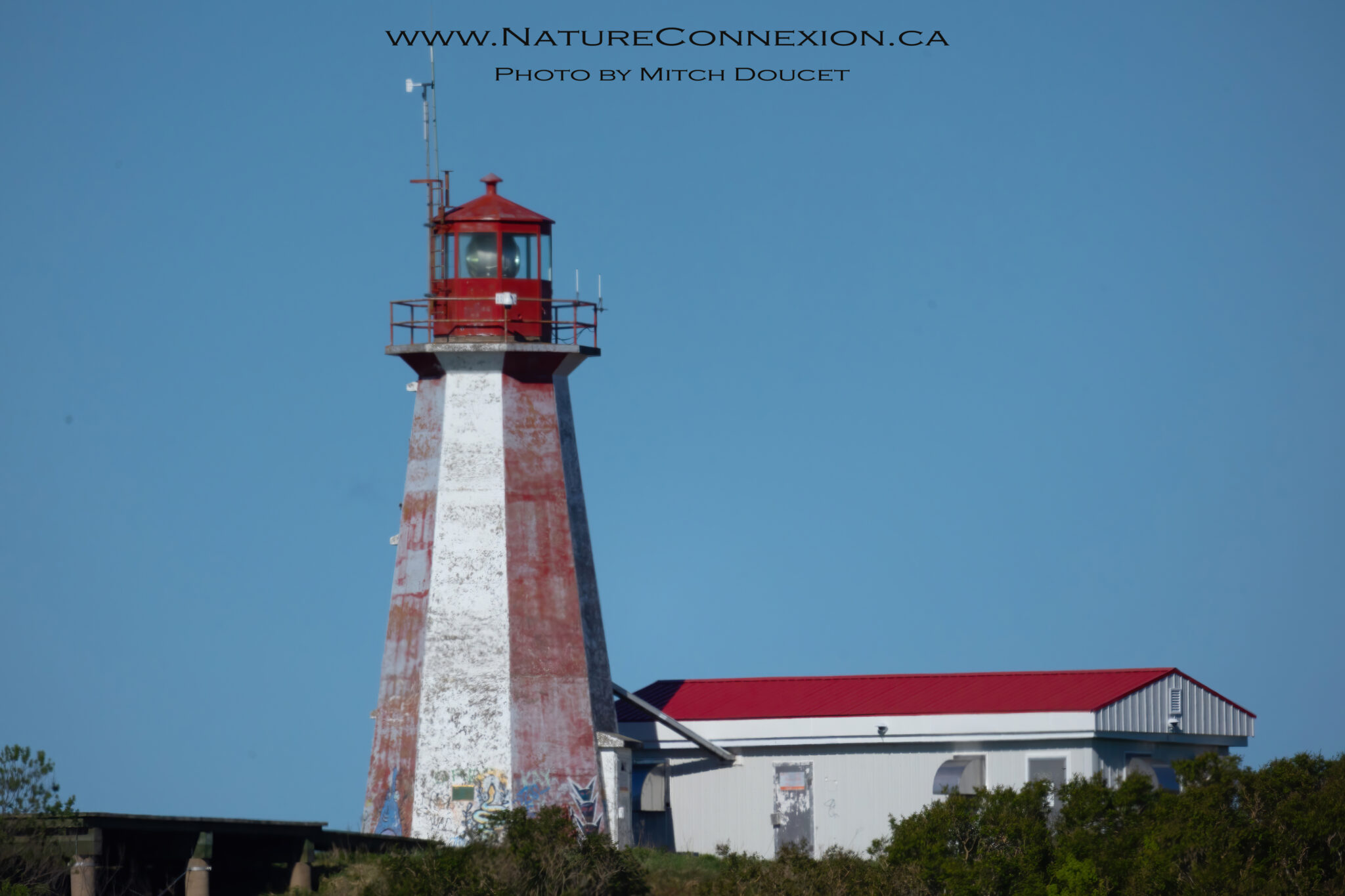 Lighthouse Partridge Island | Nature Connexion