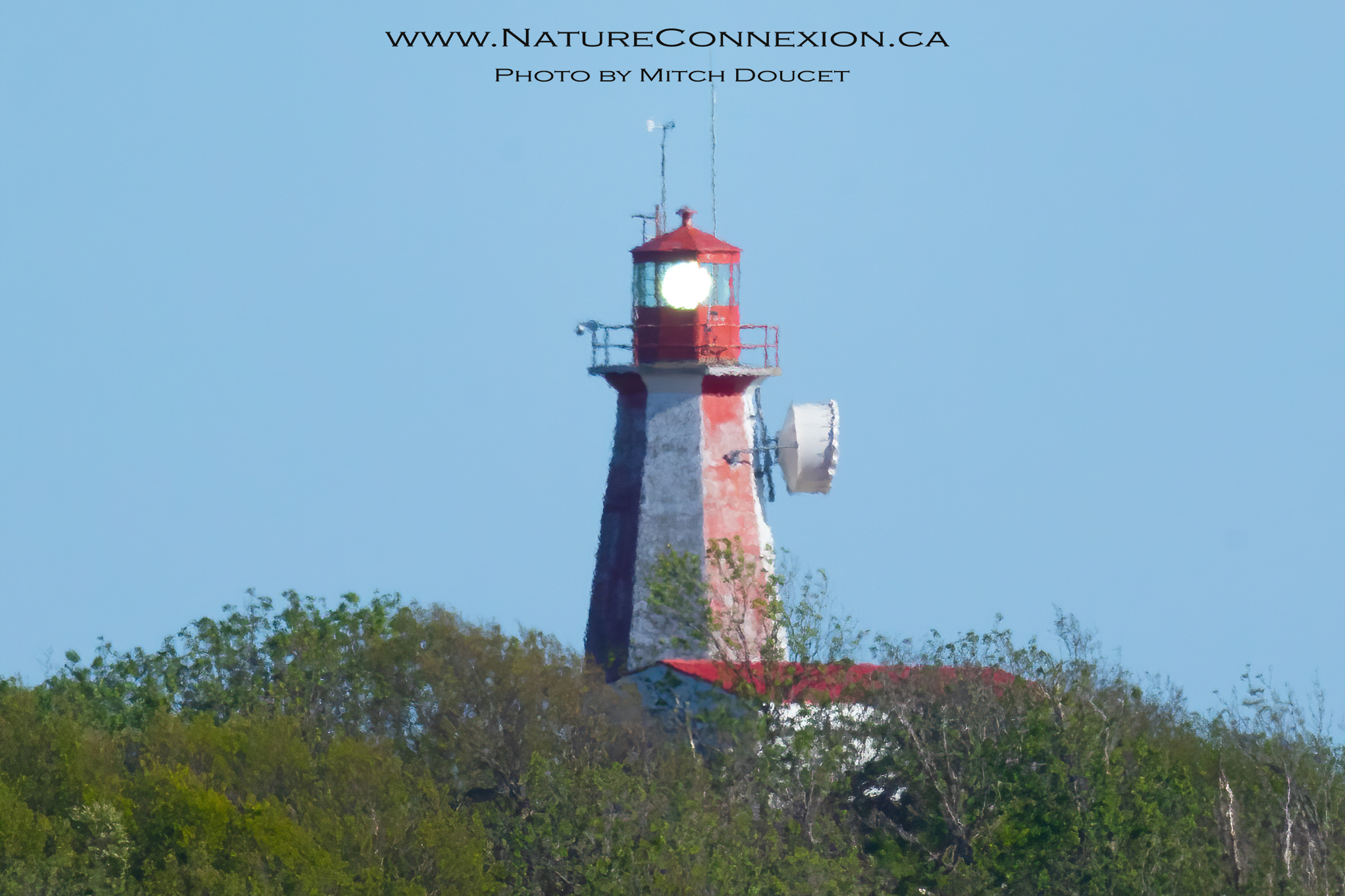 Lighthouse Partridge Island | Nature Connexion