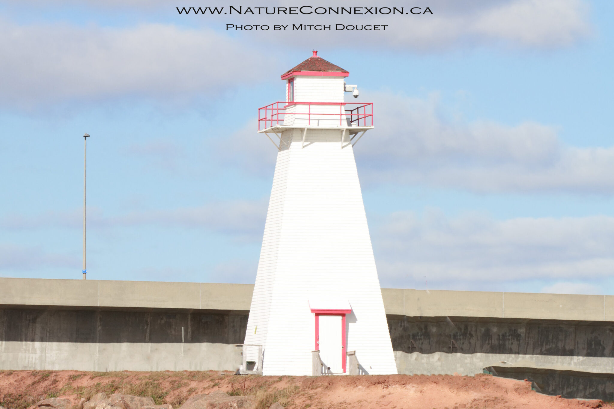 Lighthouse | Nature Connexion